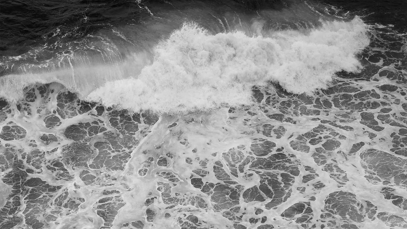 Ocean Gifts for Home | Citrus Reef