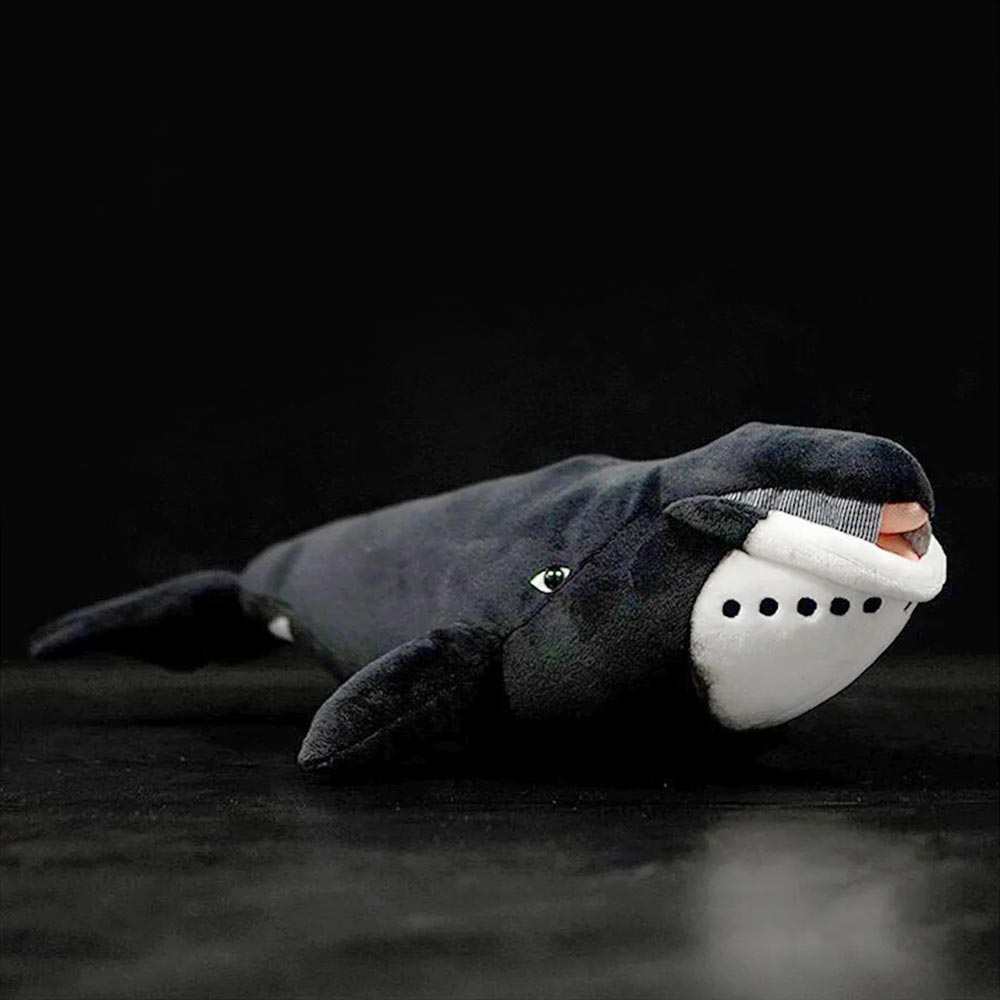 Bowhead Whale Plush | Citrus Reef