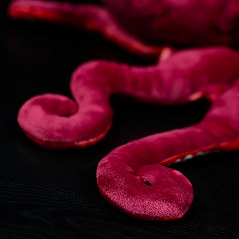 Giant Octopus Plush | Citrus Reef