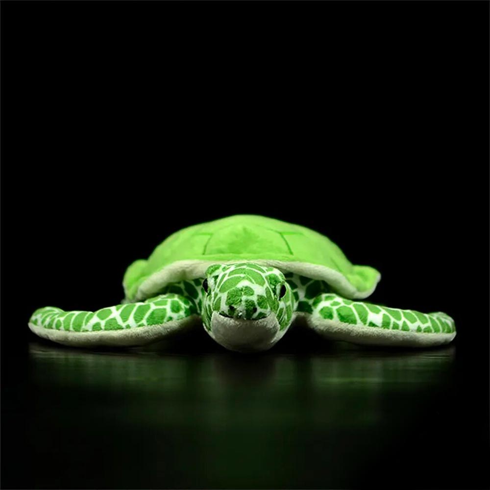 Green Turtle Plush | Citrus Reef