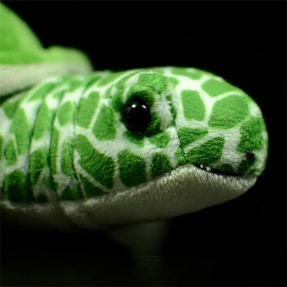 Green Turtle Plush | Citrus Reef