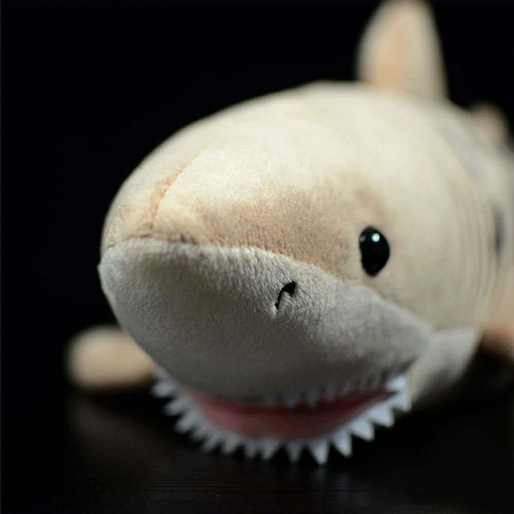 Sand Tiger Shark Plush | Citrus Reef