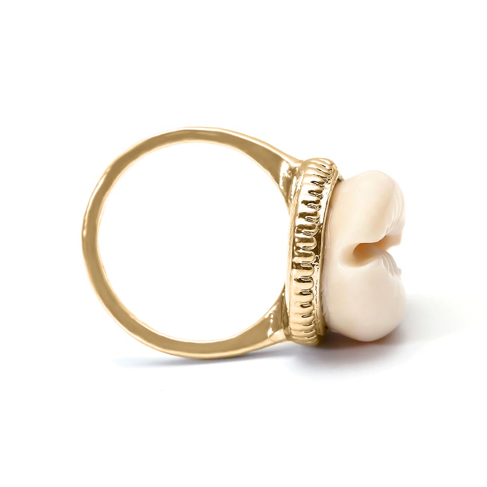 Gold Cowrie Shell Ring | Citrus Reef
