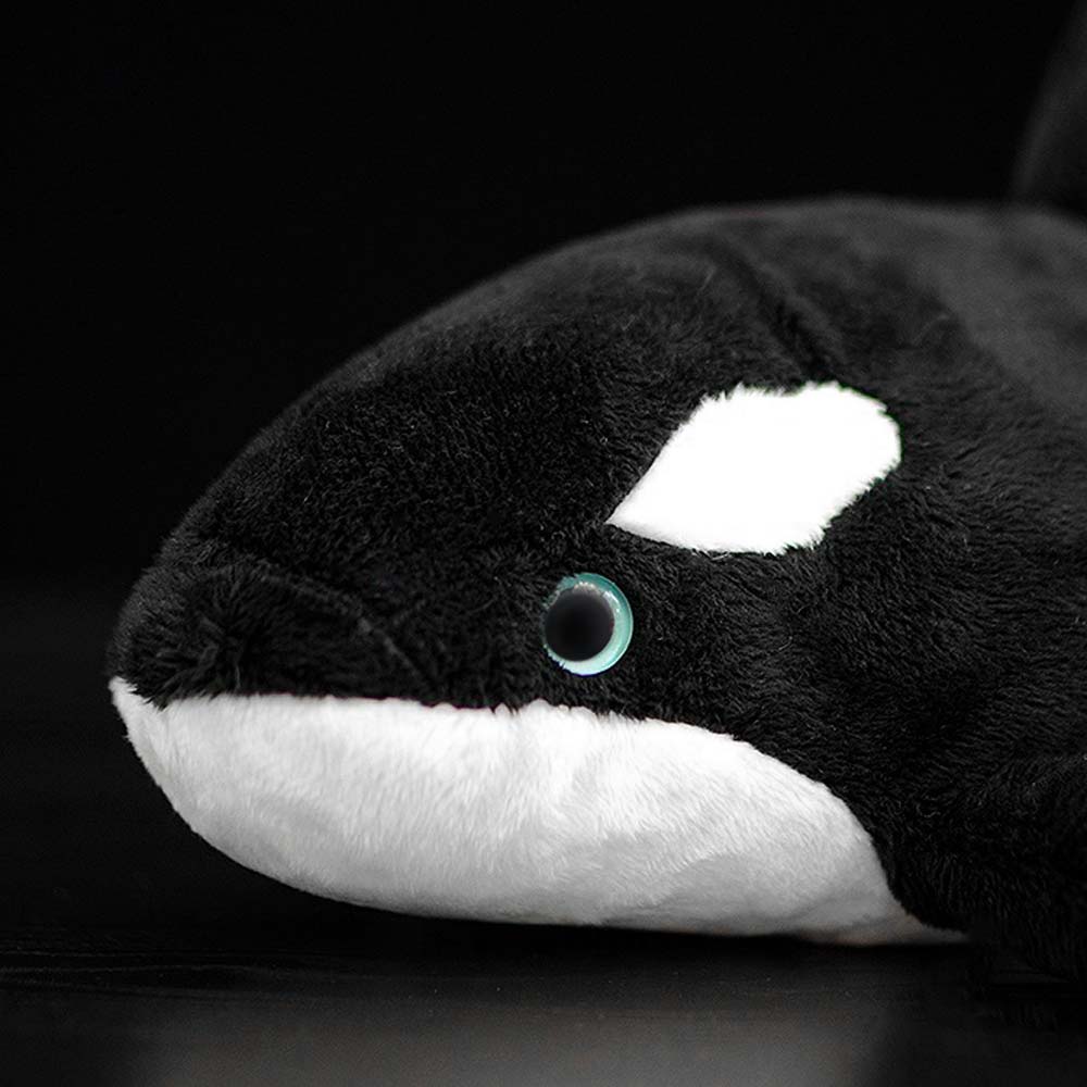 Realistic Orca Plush | Citrus Reef