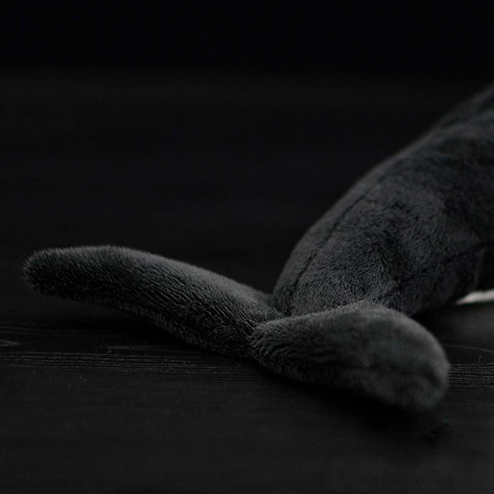 Realistic Orca Plush | Citrus Reef
