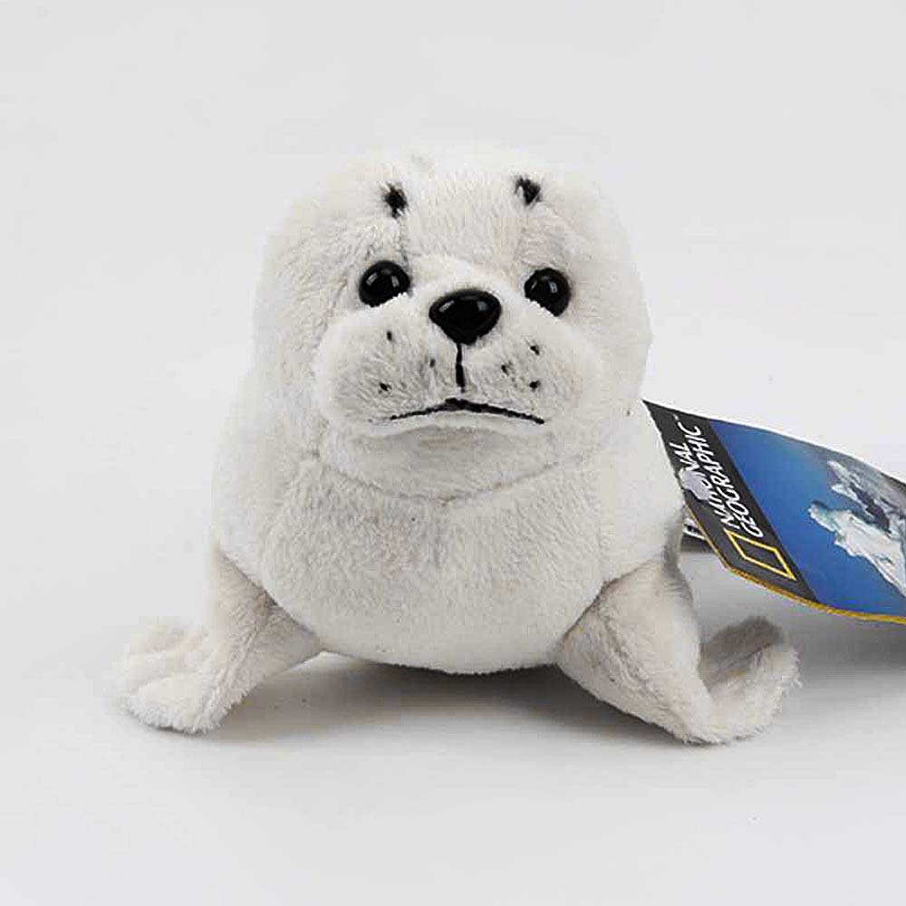 Stuffed Animal Seal Plush | Citrus Reef