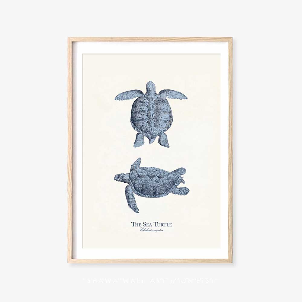 Vintage Sea Life Prints | Citrus Reef