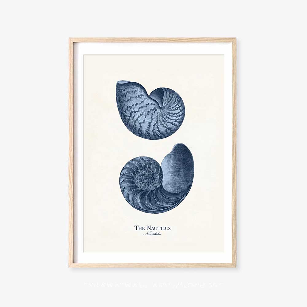 Vintage Sea Life Prints | Citrus Reef