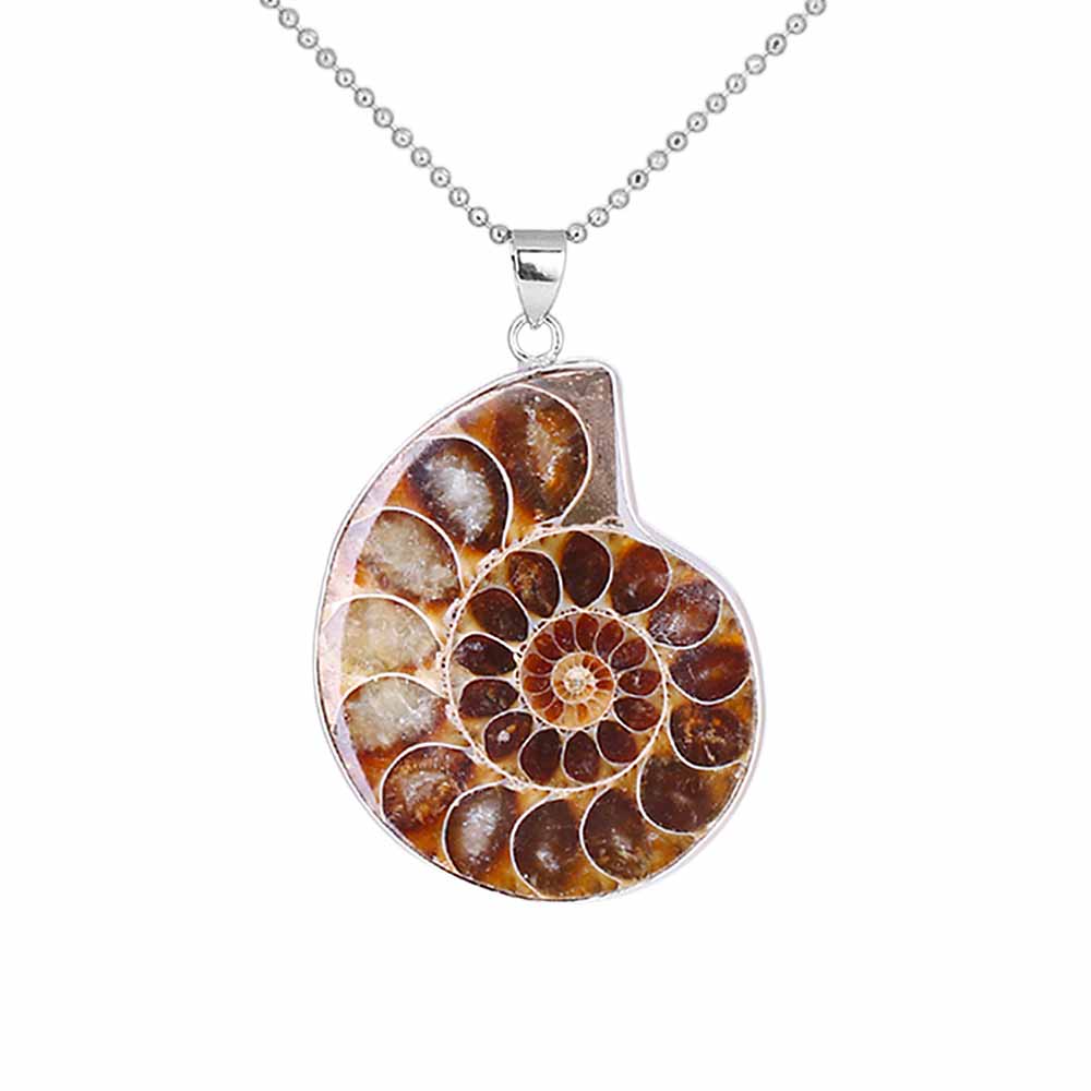 Nautilus Shell Necklace | Citrus Reef